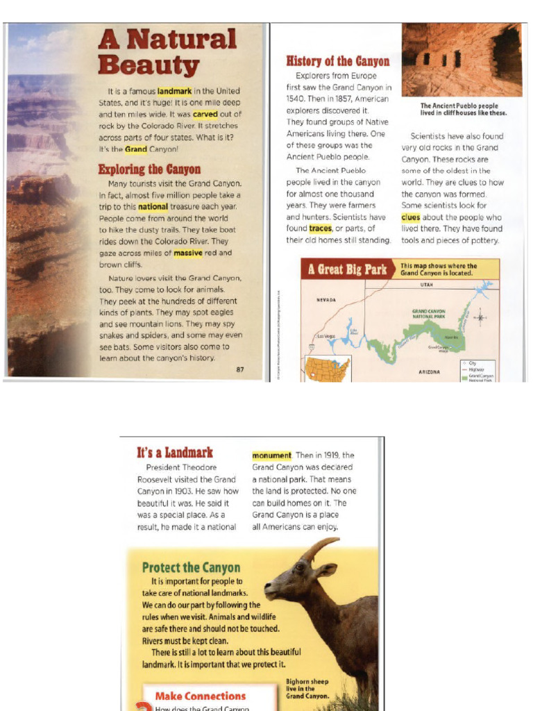 A Natural Beauty | PDF