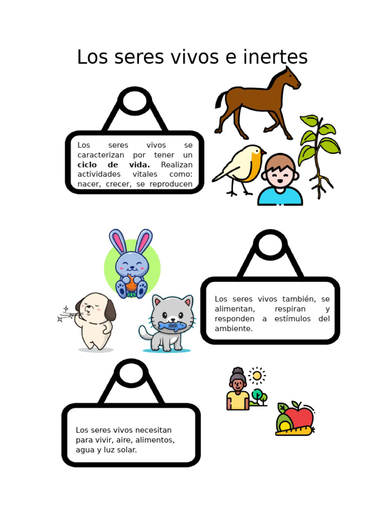 Los seres vivos e inertes | PDF | Raíz | Pluma