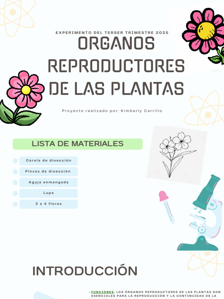Kiberly Biologia | PDF