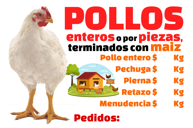 Pollos 01 | PDF