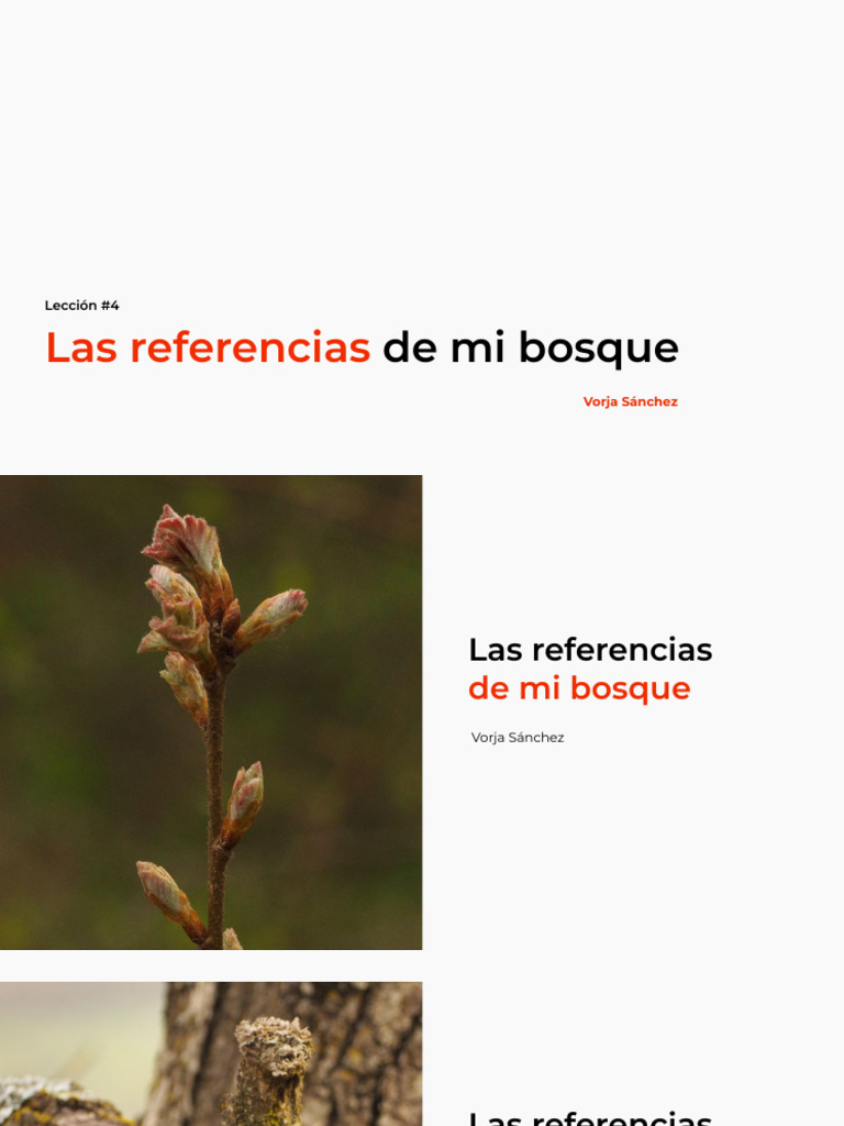 U2 - 01 - Las Referencias de Mi Bosque | PDF