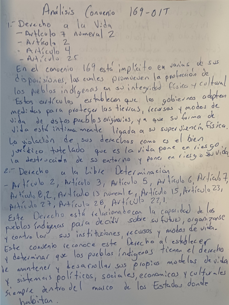 Análisis Convenio 169 OIT | PDF