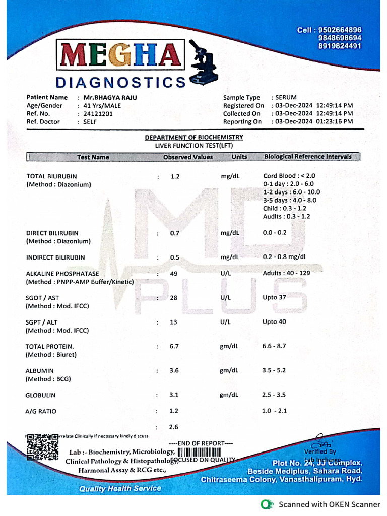 Bhagya Raju Reports | PDF