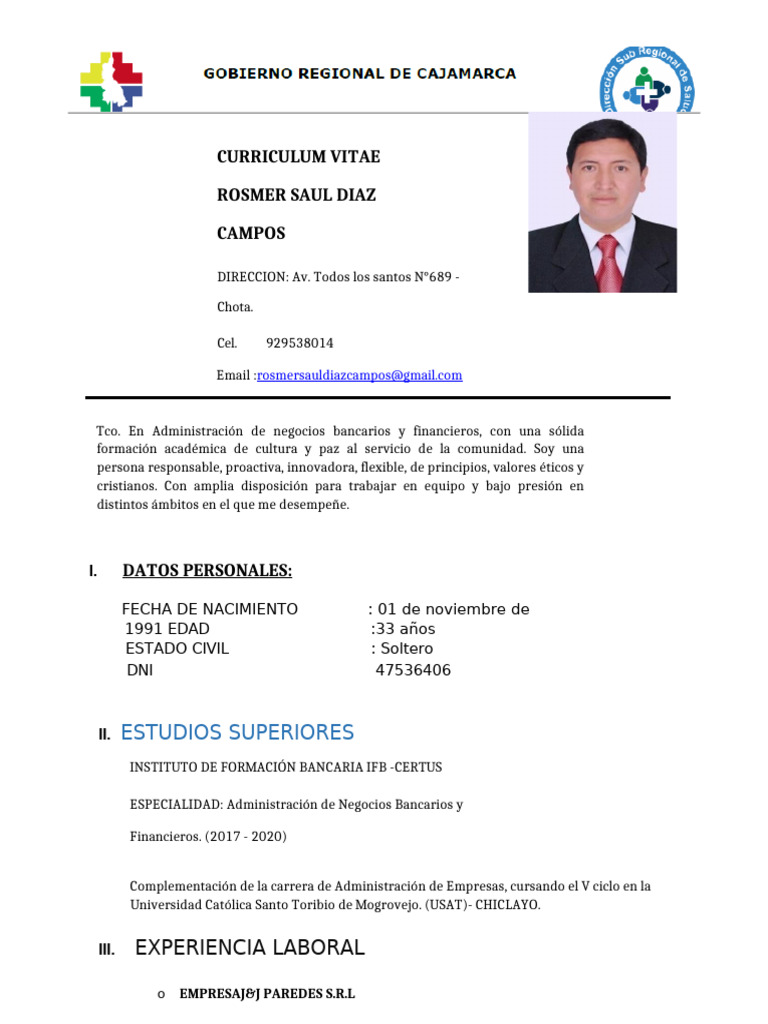 CV Rosmer 1 | PDF