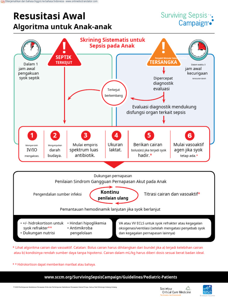 Initial Resuscitation Algorithm For Children - En.id | PDF