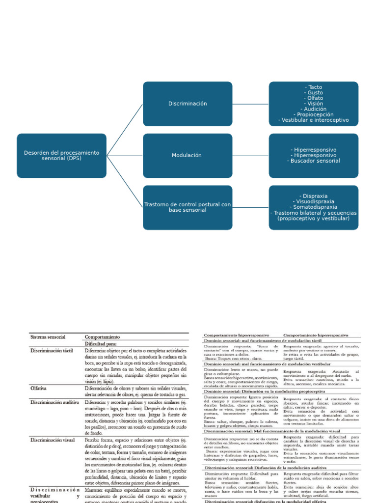 Desorden Del Procesamiento Sensorial (DPS) | PDF