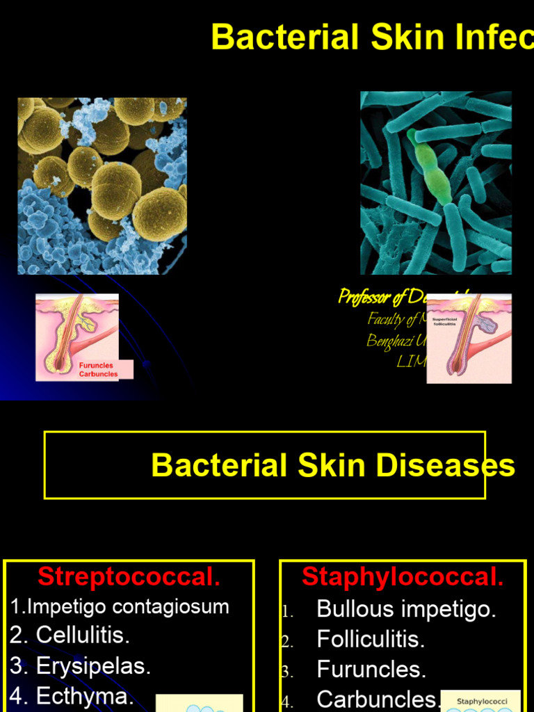 Bacterial Skin Infections - PPT Dermatology | PDF | Animal Diseases ...
