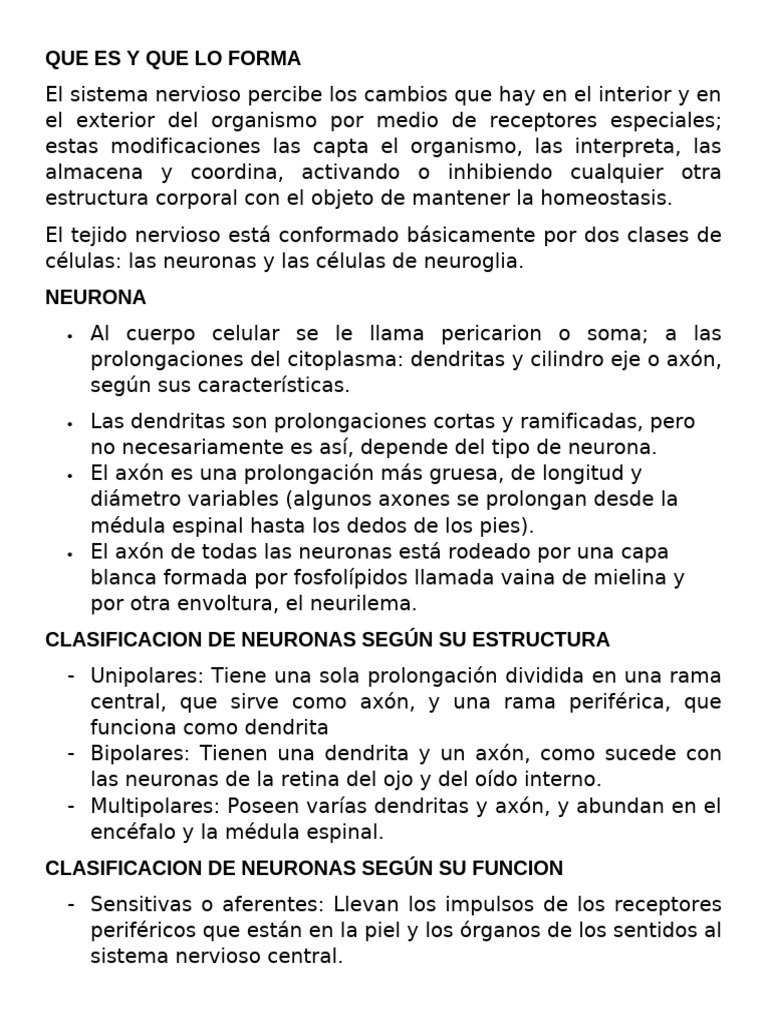 Estructura y Función del Sistema Nervioso | PDF | Neurona | Médula espinal