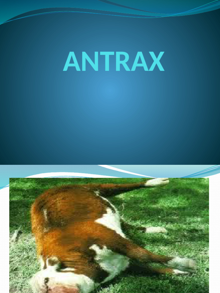Información sobre el Ántrax | PDF | Ántrax | Enfermedades y trastornos ...