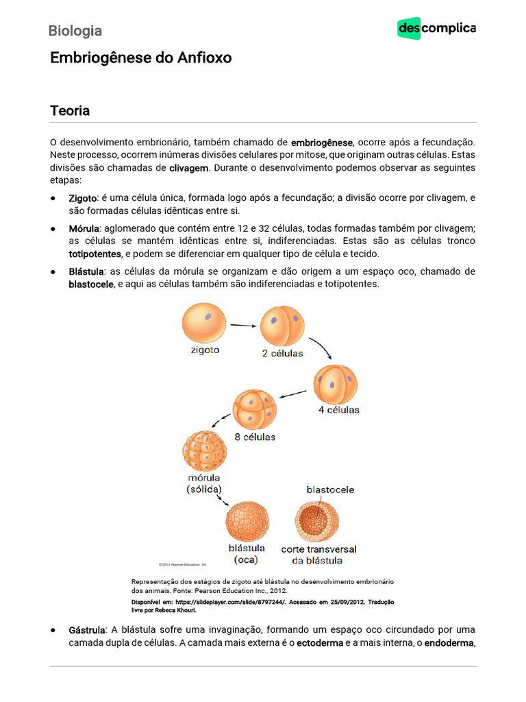 Embriogênese do Anfioxo: Etapas e Estruturas | PDF | Morfologia ...