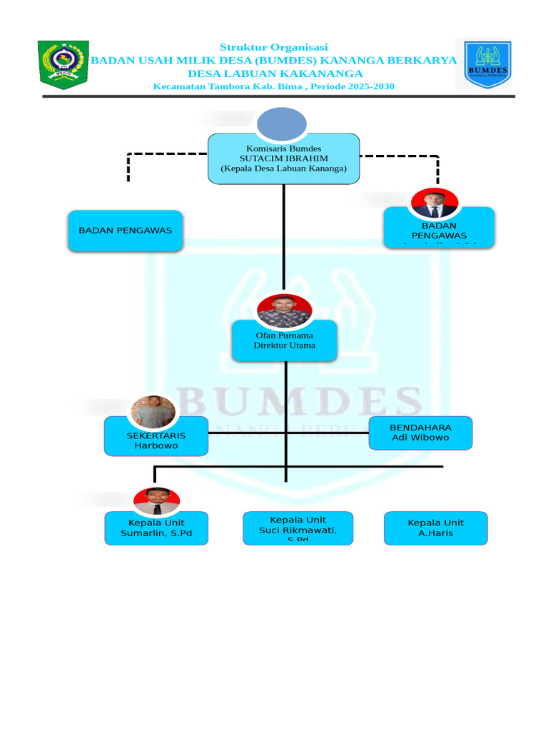 Struktur Organisasi BUMDES | PDF