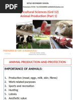 Animal Production Notes 2024 | PDF | Agriculture | Intensive Farming