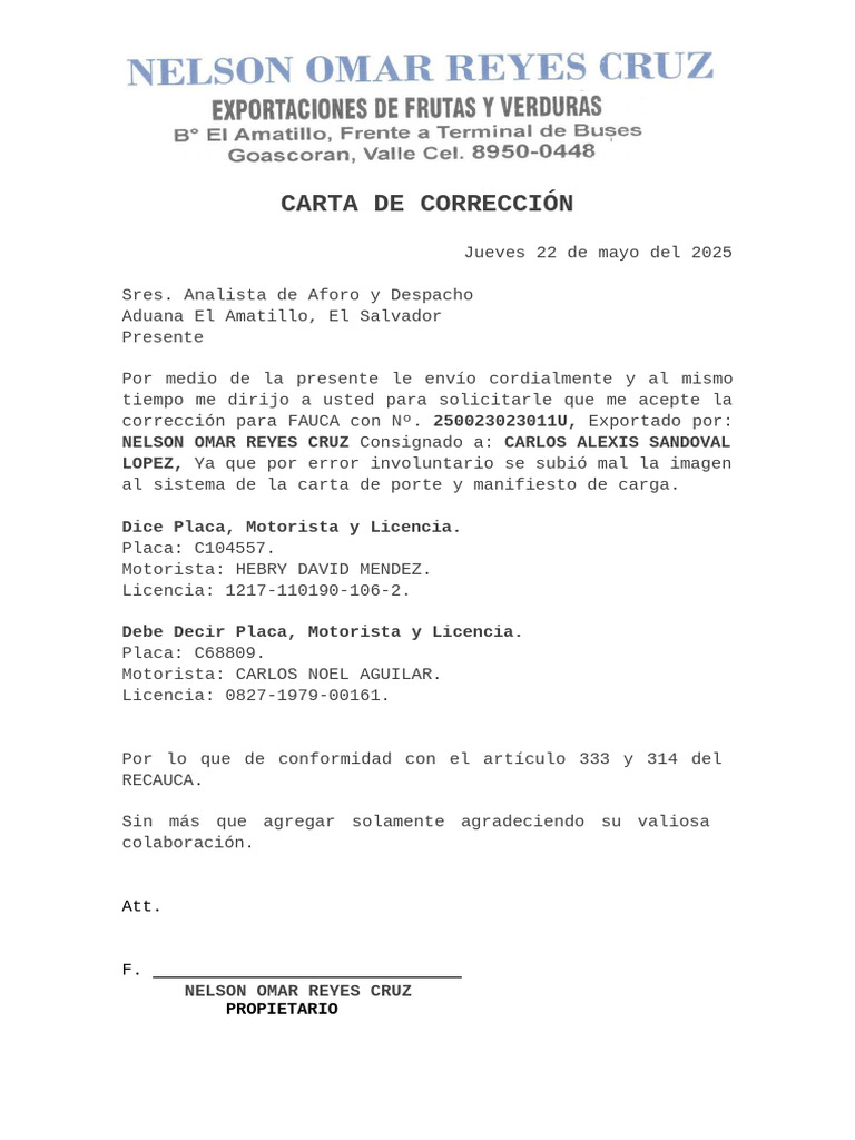 Corrección de Datos en FAUCA 250023023011U | PDF