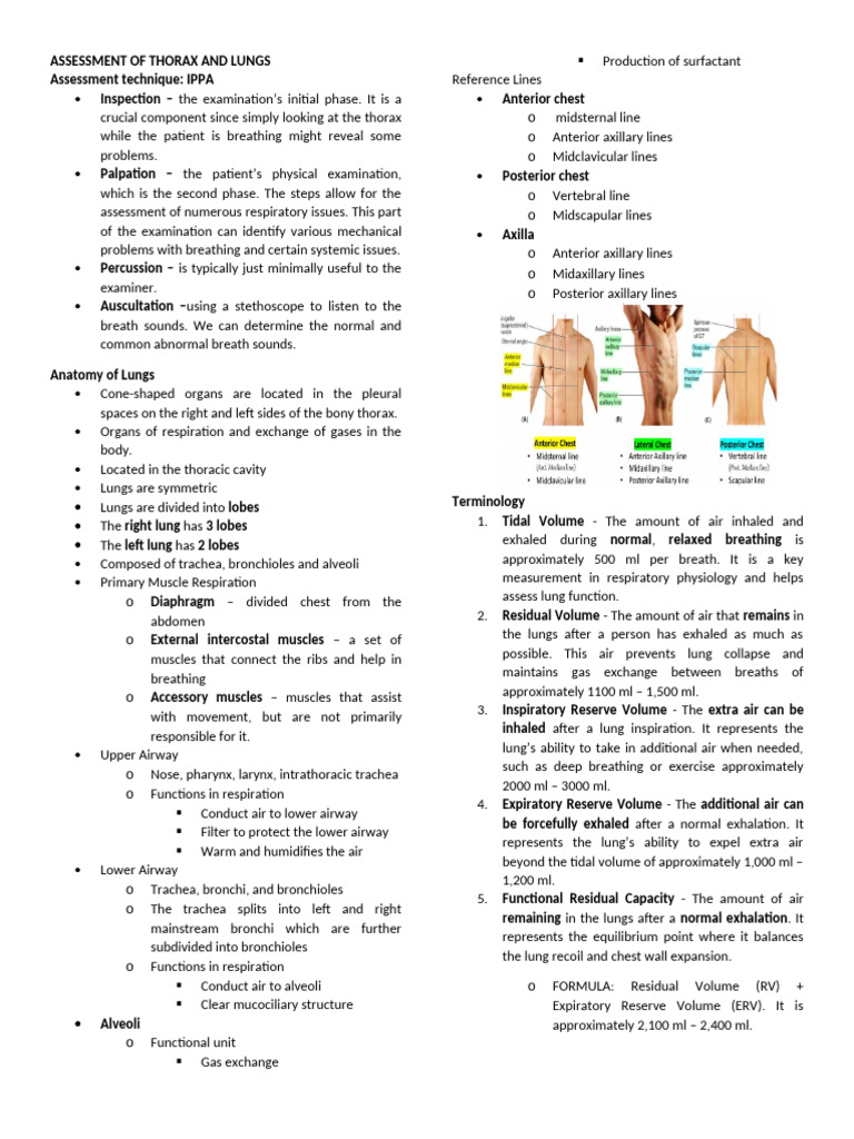 Assessment of Thorax and Lungs | PDF | Lung | Exhalation