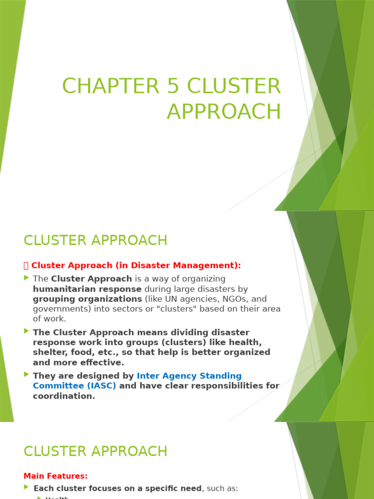 Chapter 5 Cluster Approach | PDF | Humanitarian Aid