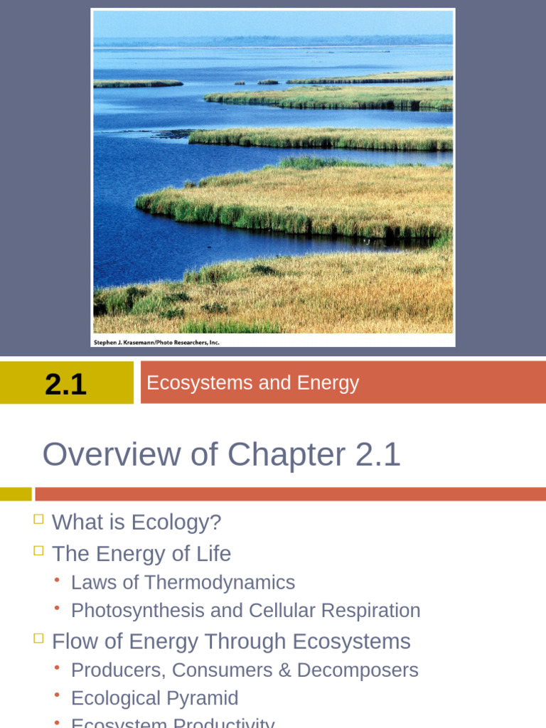 Ch2.1 - Ecosystem and Energy | PDF | Food Web | Ecosystem