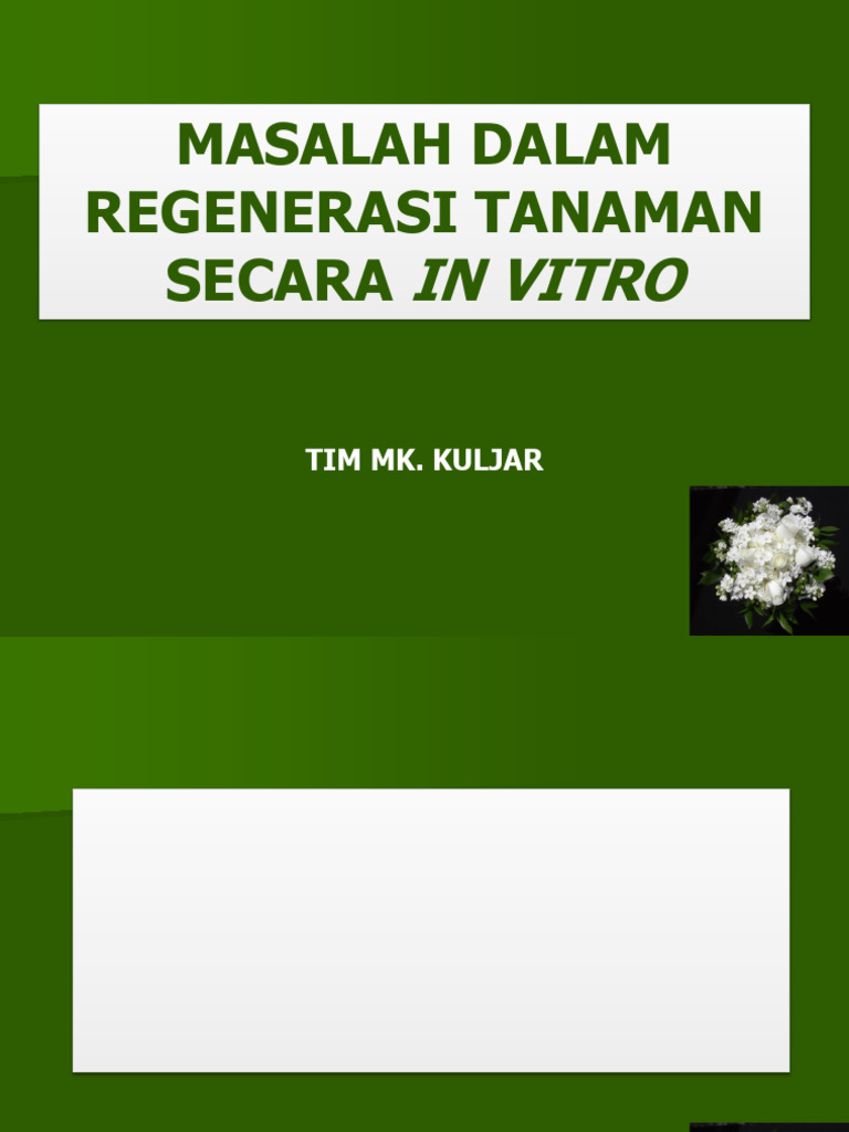 Masalah Regenerasi Tanaman In Vitro | PDF
