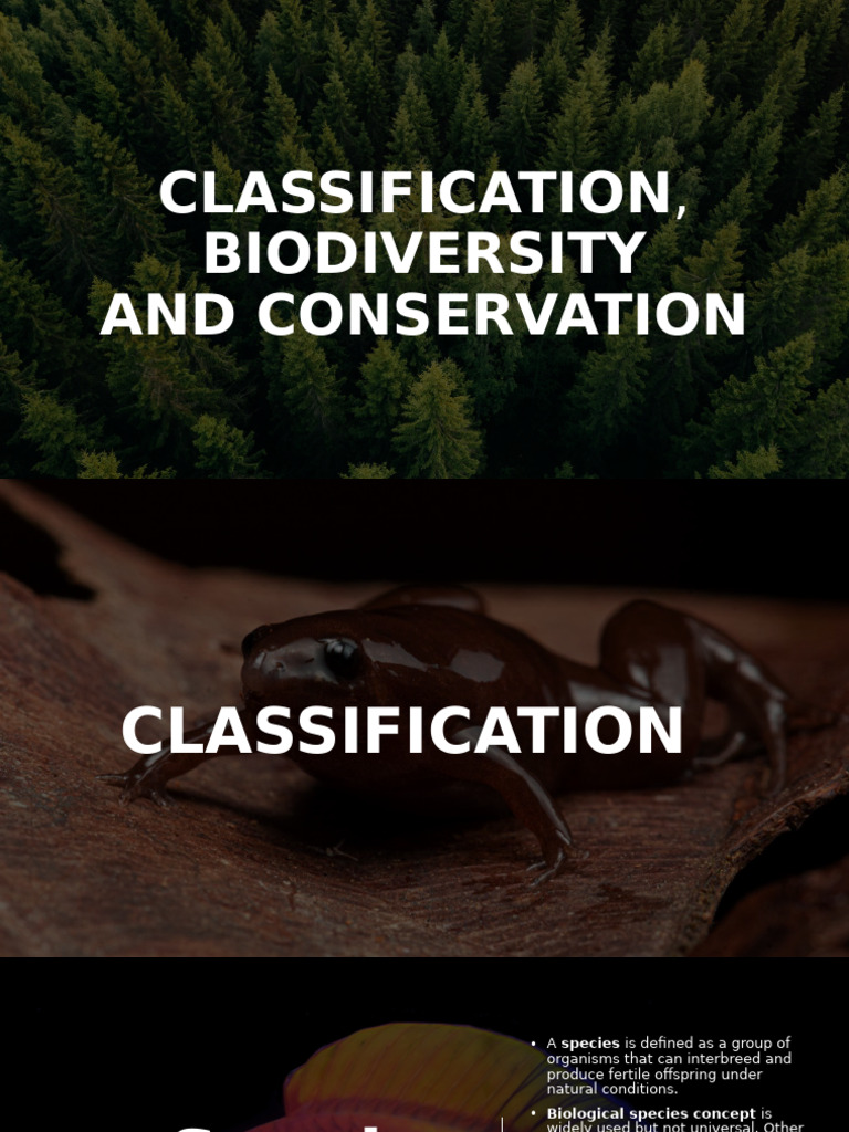 Biodiversity Summary | PDF | Biodiversity | Taxonomy (Biology)