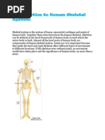 Anatomy Basics for Beginners | PDF