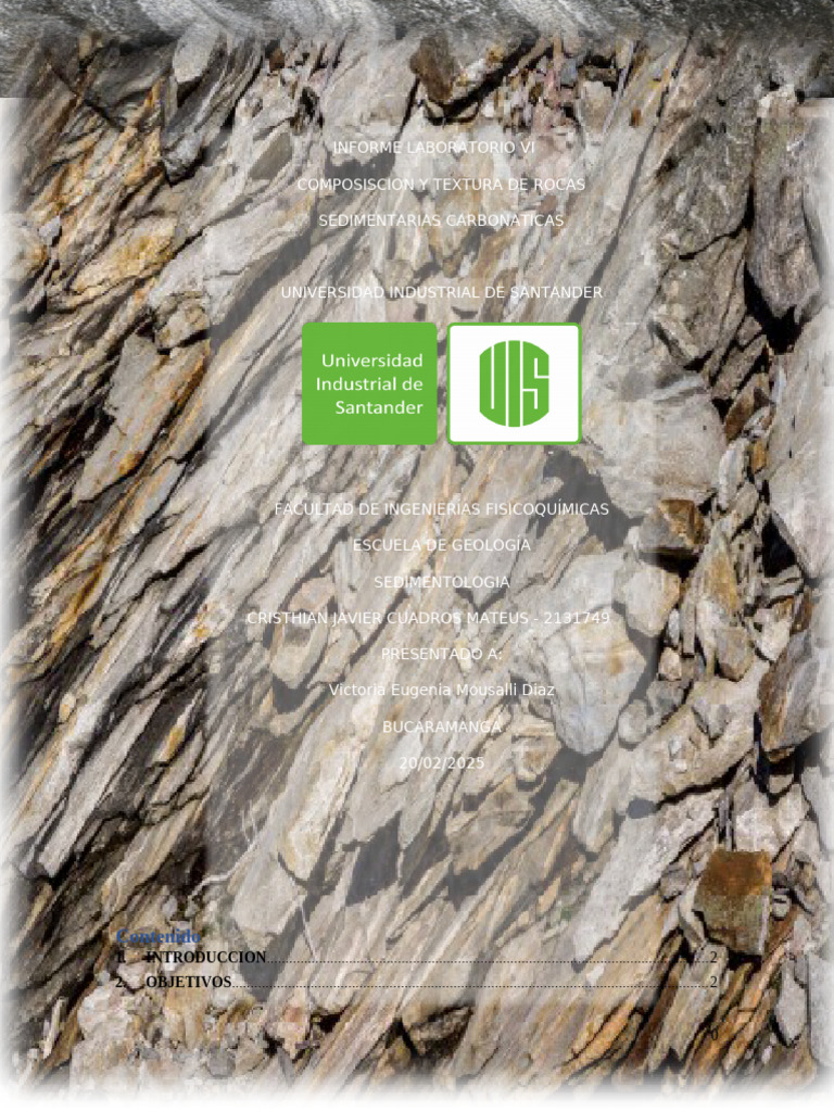 Informe Laboratorio Vi Rocas Carbonaticas | PDF | Caliza | Roca clástica