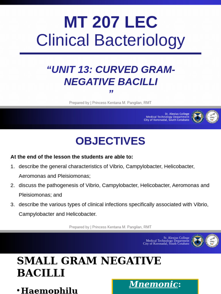 15 - MT 207 - Small Gram Negative Bacilli | PDF | Microbiology | Immunology