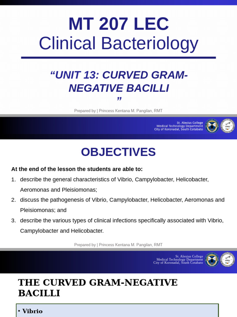 13 - MT 207 - Curved Gram Negative Bacilli | PDF | Gastroenterology ...