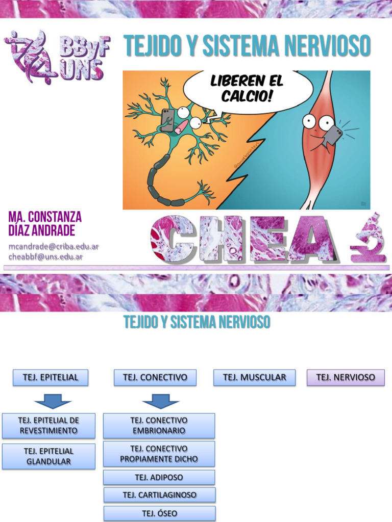 Tej. y Sist. Nervioso | PDF | Axon | Neurona