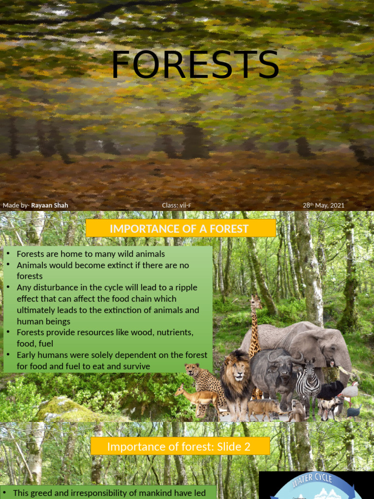 Rayaan Science Home Work | PDF | Forests | Ecosystem
