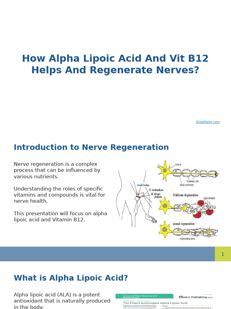 How Alpha Lipoic Acid and Vit B12 Helps and Regenerate Nerves | PDF ...