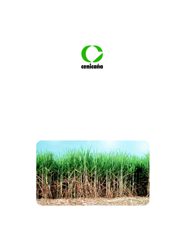 ST 30 | PDF | Caña de azúcar | Agricultura