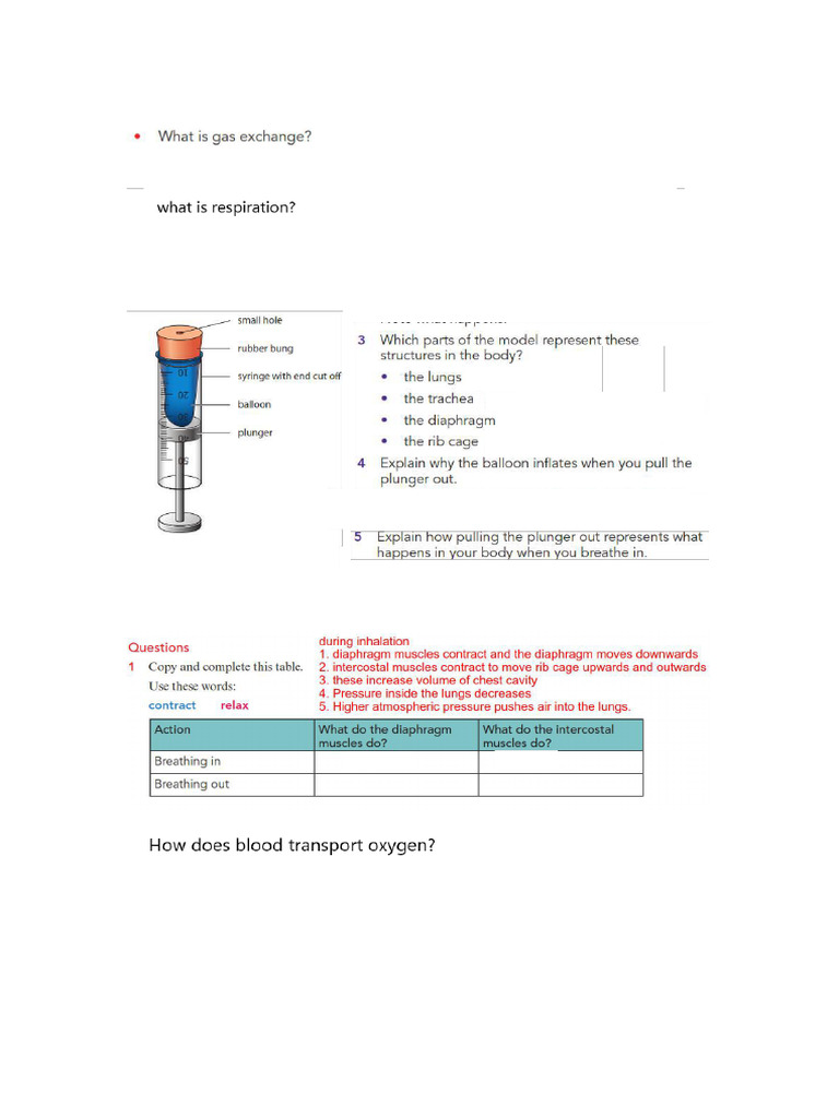 Yr8 Science 25.2.27 Revision For Ch1-3 | PDF