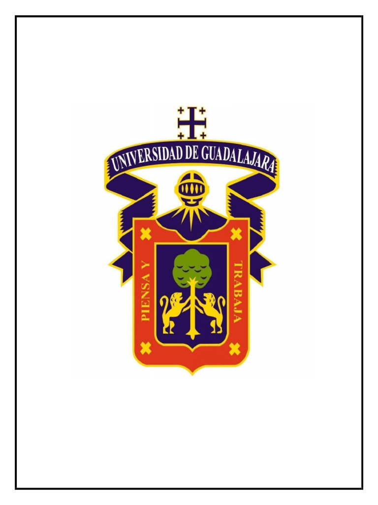 Practica 2 Rodriguez Bribiescas Ramiro JR | PDF