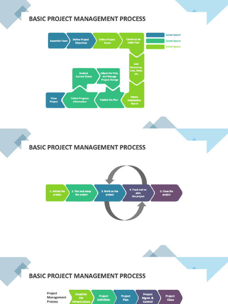 Basic Project Management Process | PDF