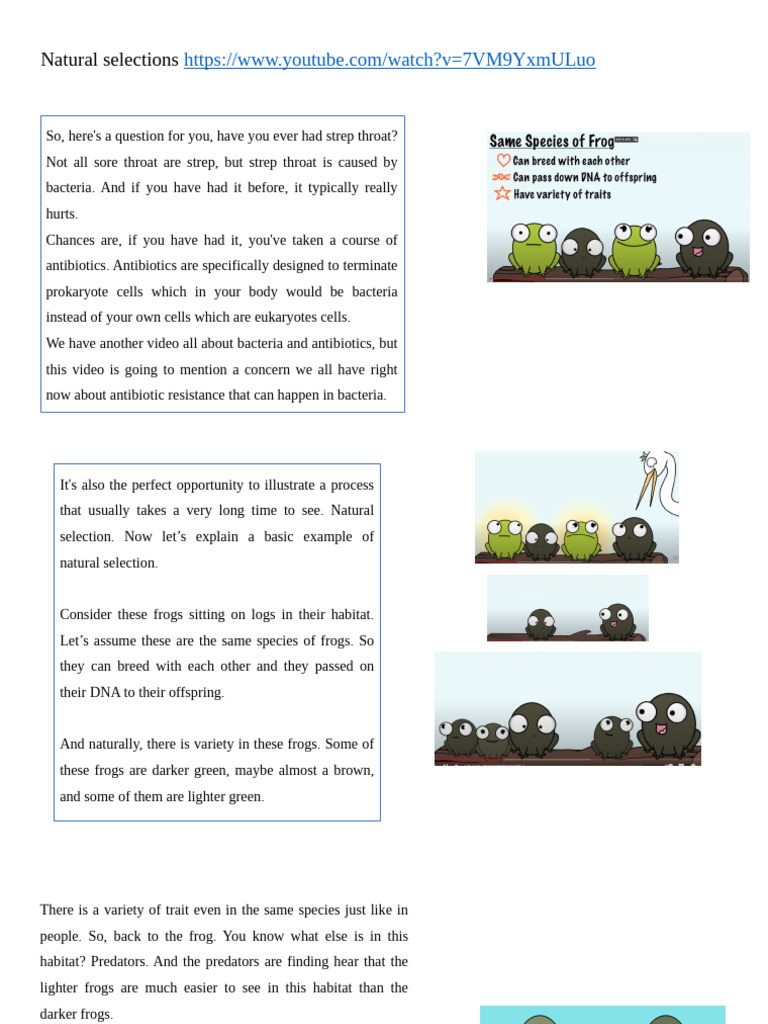 10-1 Natural selections | PDF | Bacteria | Mutation