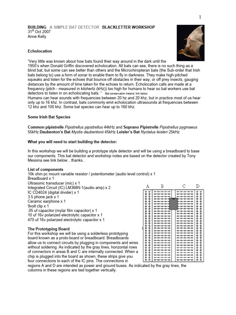 Simple Bat Detector Circuit Guide | PDF | Electrical Engineering ...