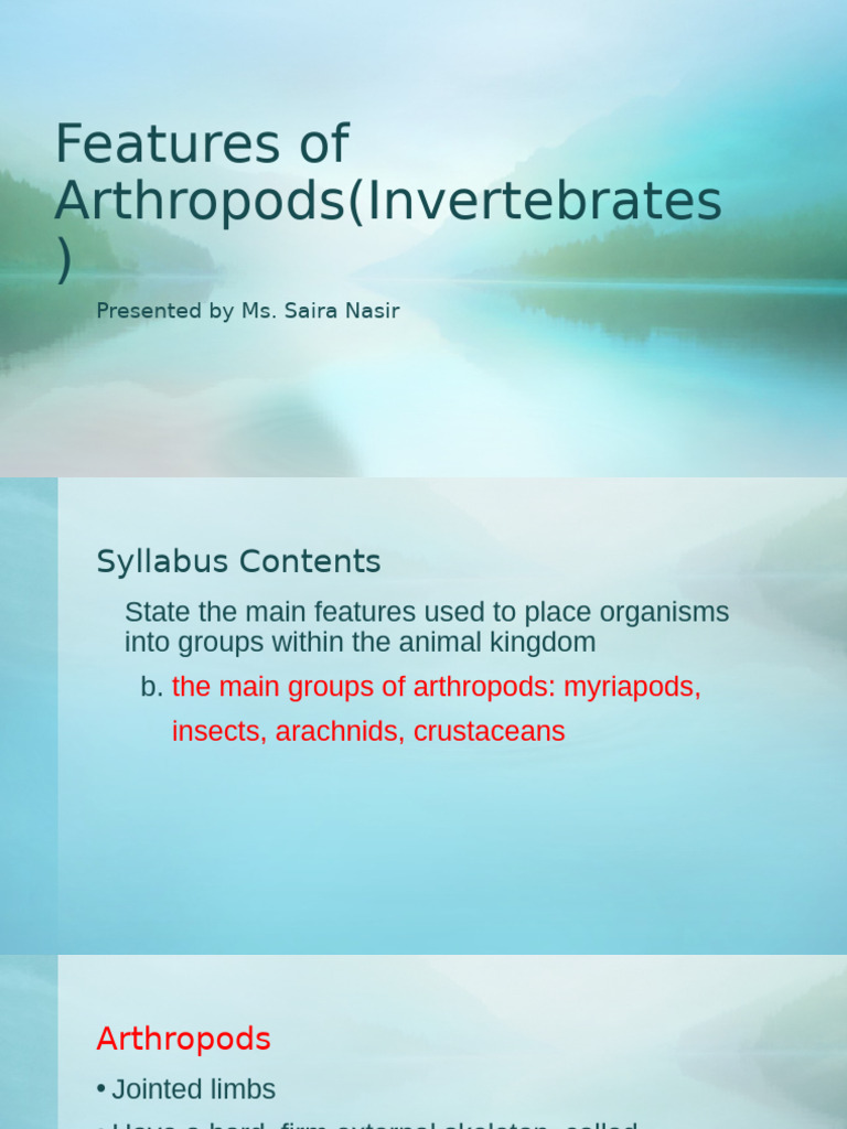 Features of Arthropodes (Invertebrates) | PDF
