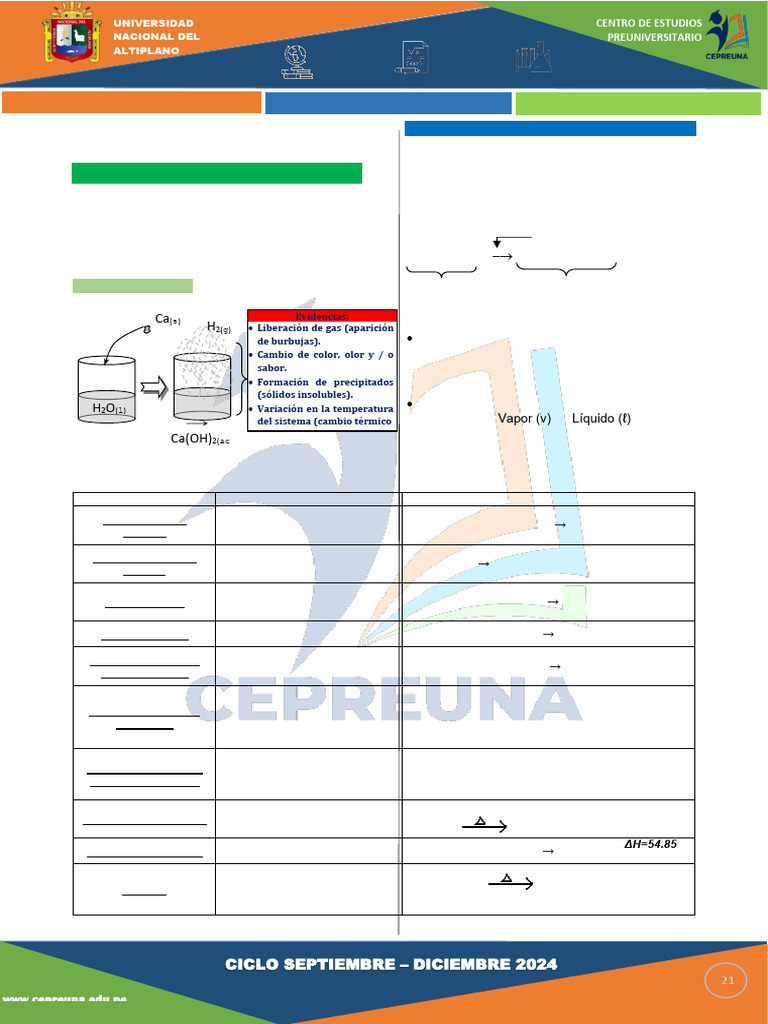 SEM8 Reacciónes Químicas | PDF | Reacciones químicas | Química