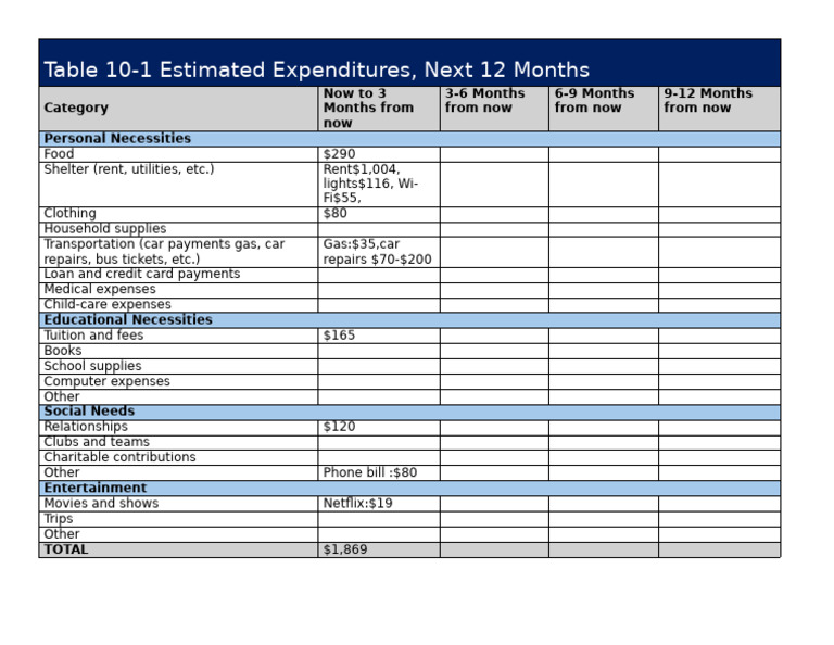 AHP101 Budget+Lab+Table+1 | PDF