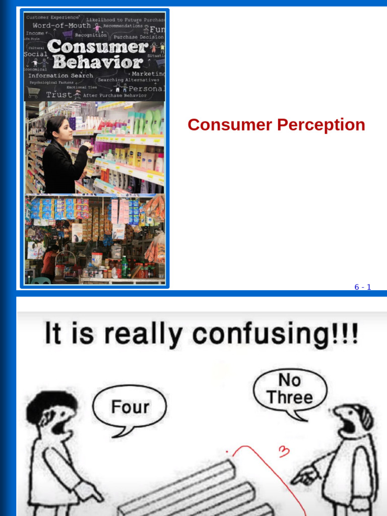 Consumer Perception | PDF | Perception | Senses