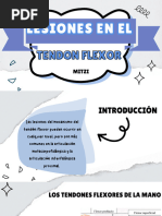 Ecografía de Tendones de la Mano | PDF | Mano | Extremidades (anatomía)