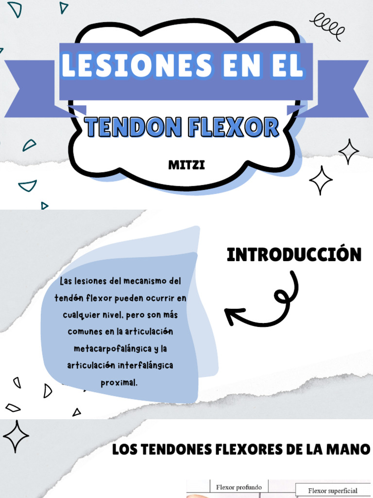Lesiones y Tratamientos del Tendón Flexor | PDF | Mano | Tendón
