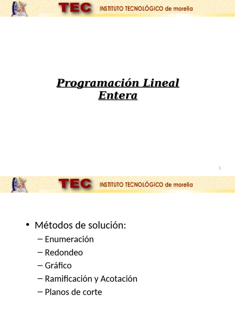 Programación Lineal Entera | PDF | Programación lineal | Ciencias de la ...