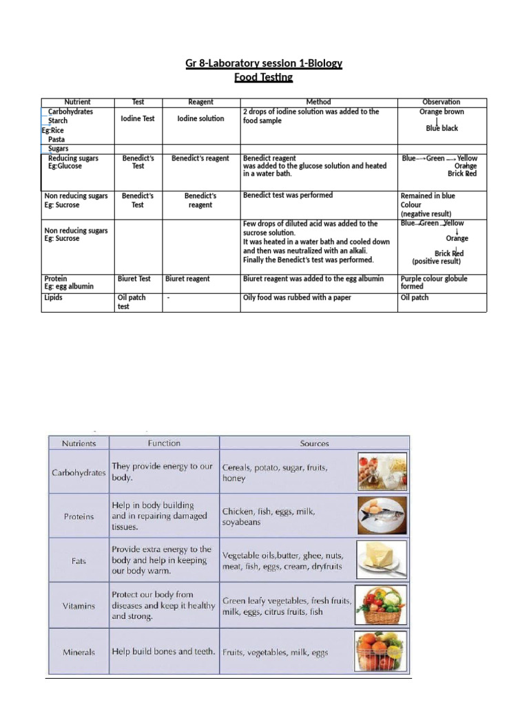 Food Tests Laboratory Session 1 | PDF