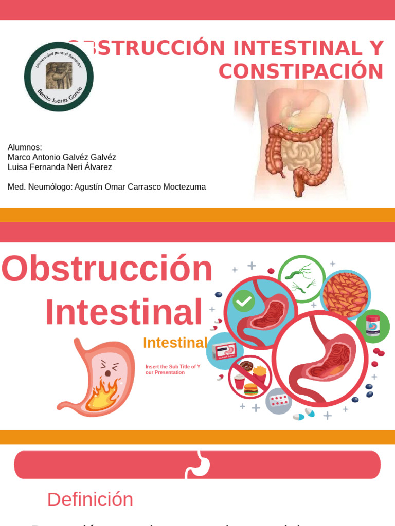 Obstrucción Intestinal: Causas y Tratamiento | PDF | Estreñimiento ...
