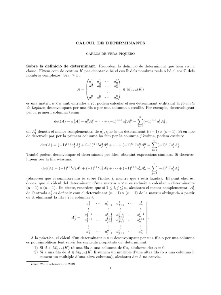 Determinants 25sep2019 | PDF