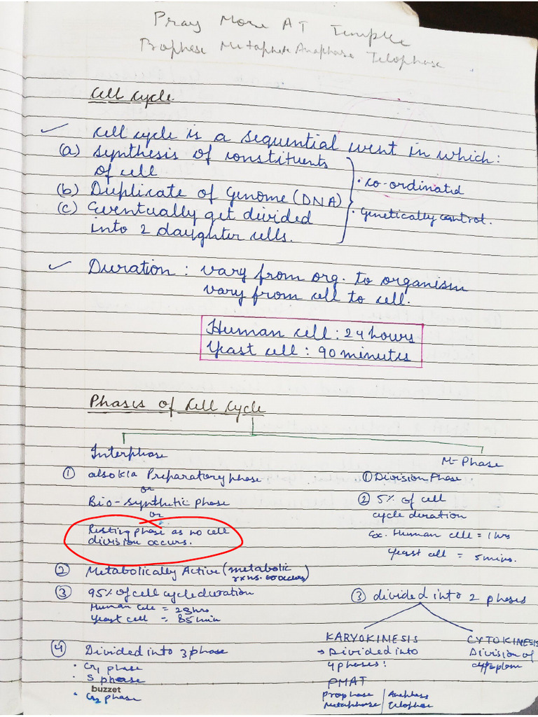 Cell Cycle & Cell Division Notes | PDF