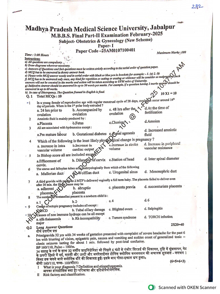 2025 Mpmsu Papers | PDF