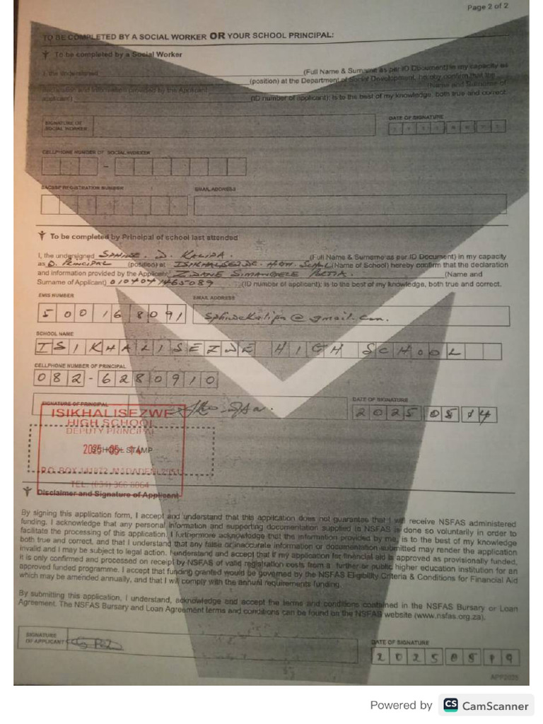 Declaration Form 1 | PDF