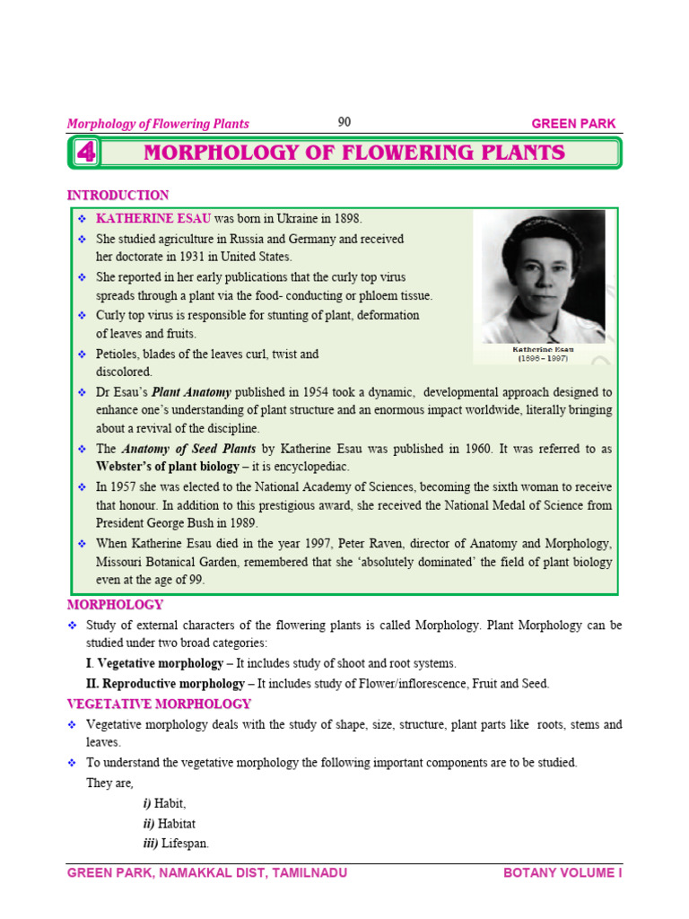 MORPHOLOGY OF FLOWERING PLANTS | PDF | Leaf | Petal