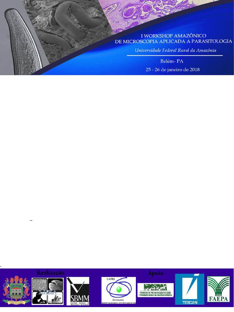 Wamap - Normas Resumo | PDF | Caixa alta e caixa baixa